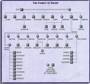 The Family Tree of David – Old Testament Survey